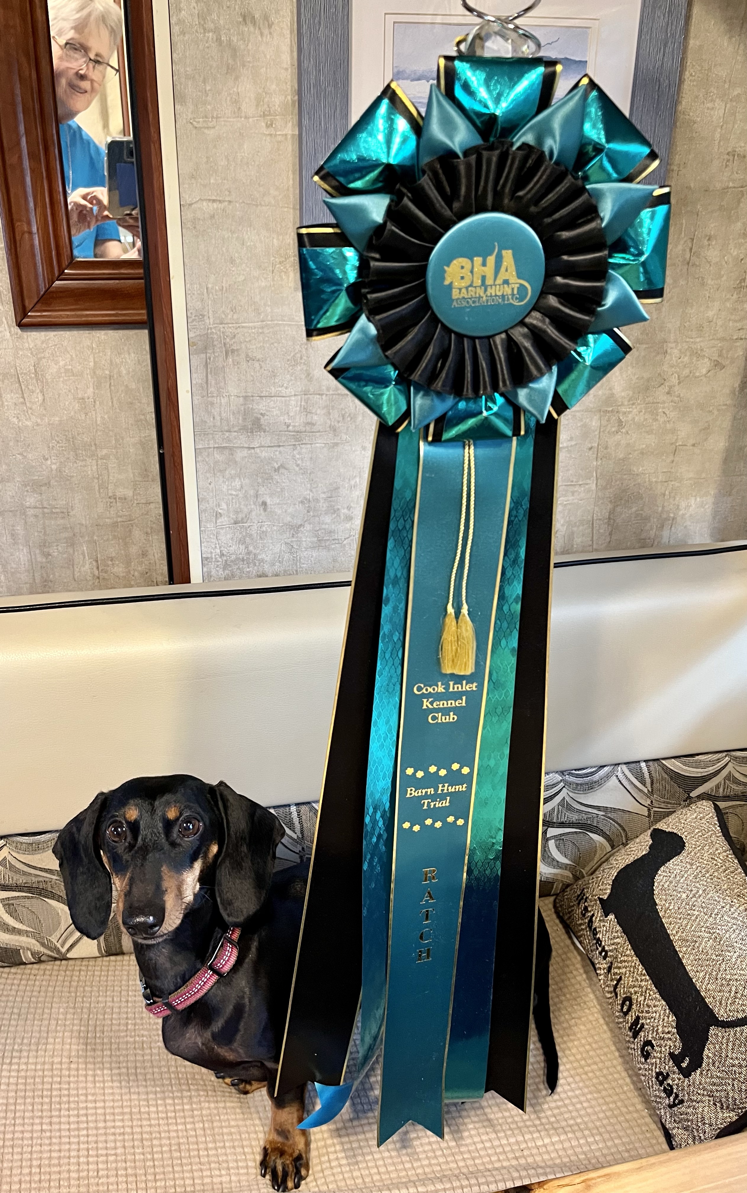 Hunting Rats in Alaska – De & the Dachsies – Our Rambles
