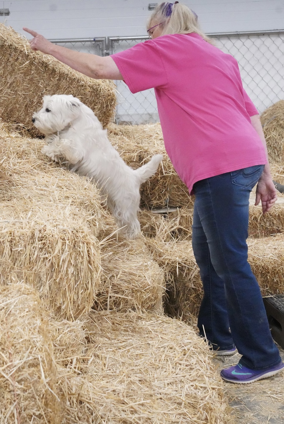 Hunting Rats in Alaska – De & the Dachsies – Our Rambles