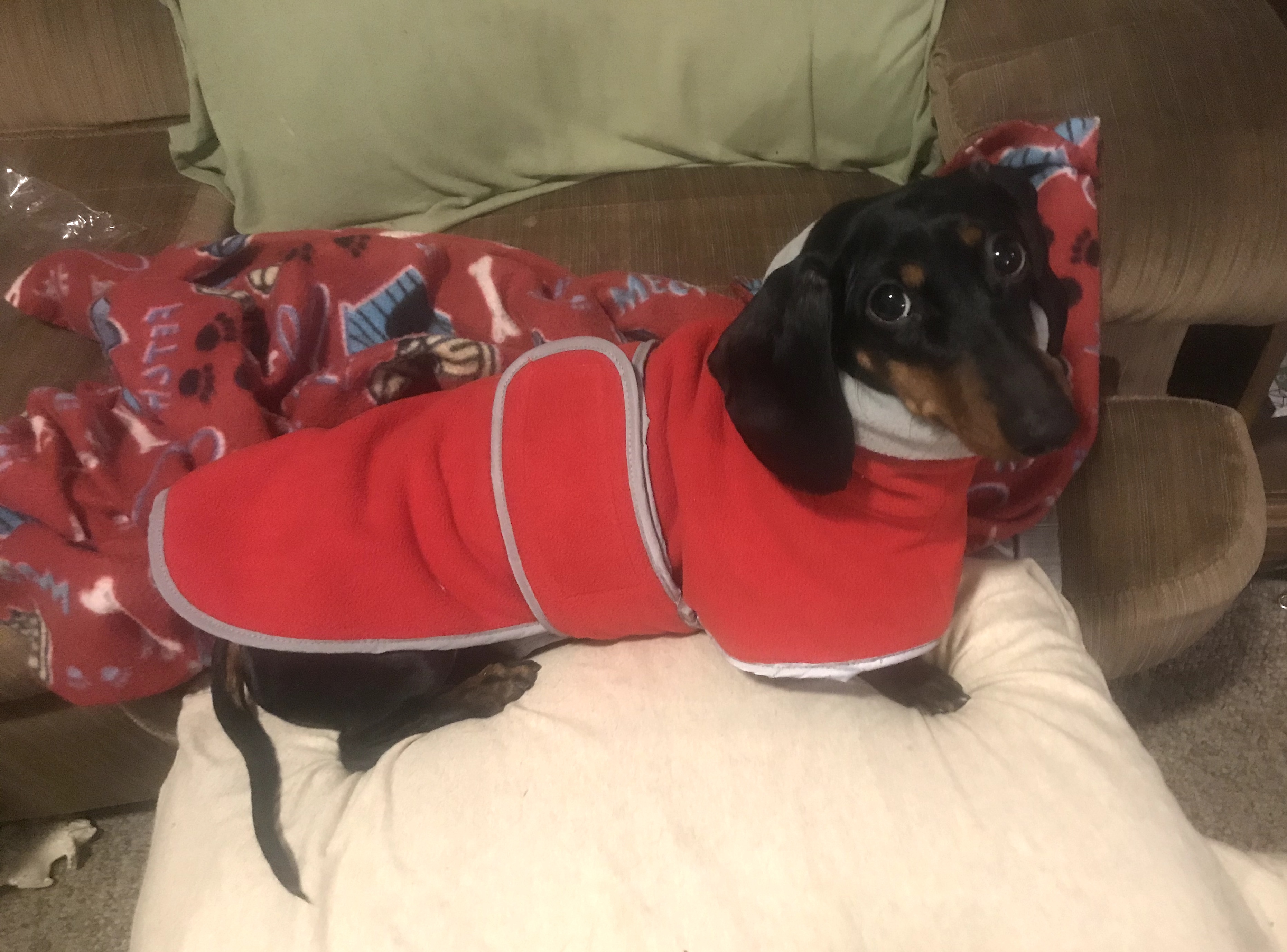 RV Season – Ready Or Not! – De & the Dachsies – Our Rambles